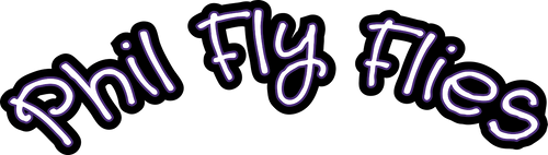 Phil Fly: Children's Book Adventures! – Phil Fly's First Flight